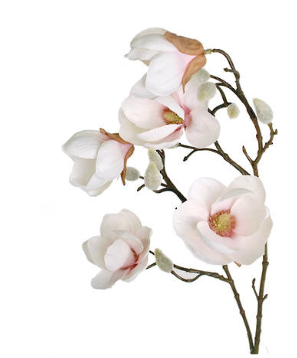 Magnolia Spray – Gibson&Co